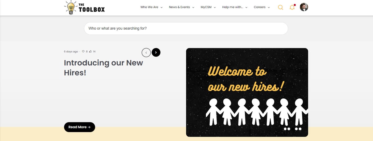 History of CSM Group